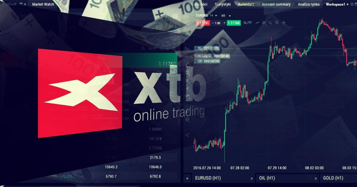 Dywidenda z XTB może być rekordowa w 2024 r. Stopa dywidendy może przekroczyć 11%